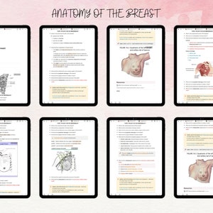 Breast Surgery Notion Template: Medical Student Digital Notes (digital ...