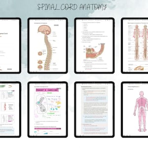 Notion Templates for Medical Students | Medical Notes | Digital Notes ...