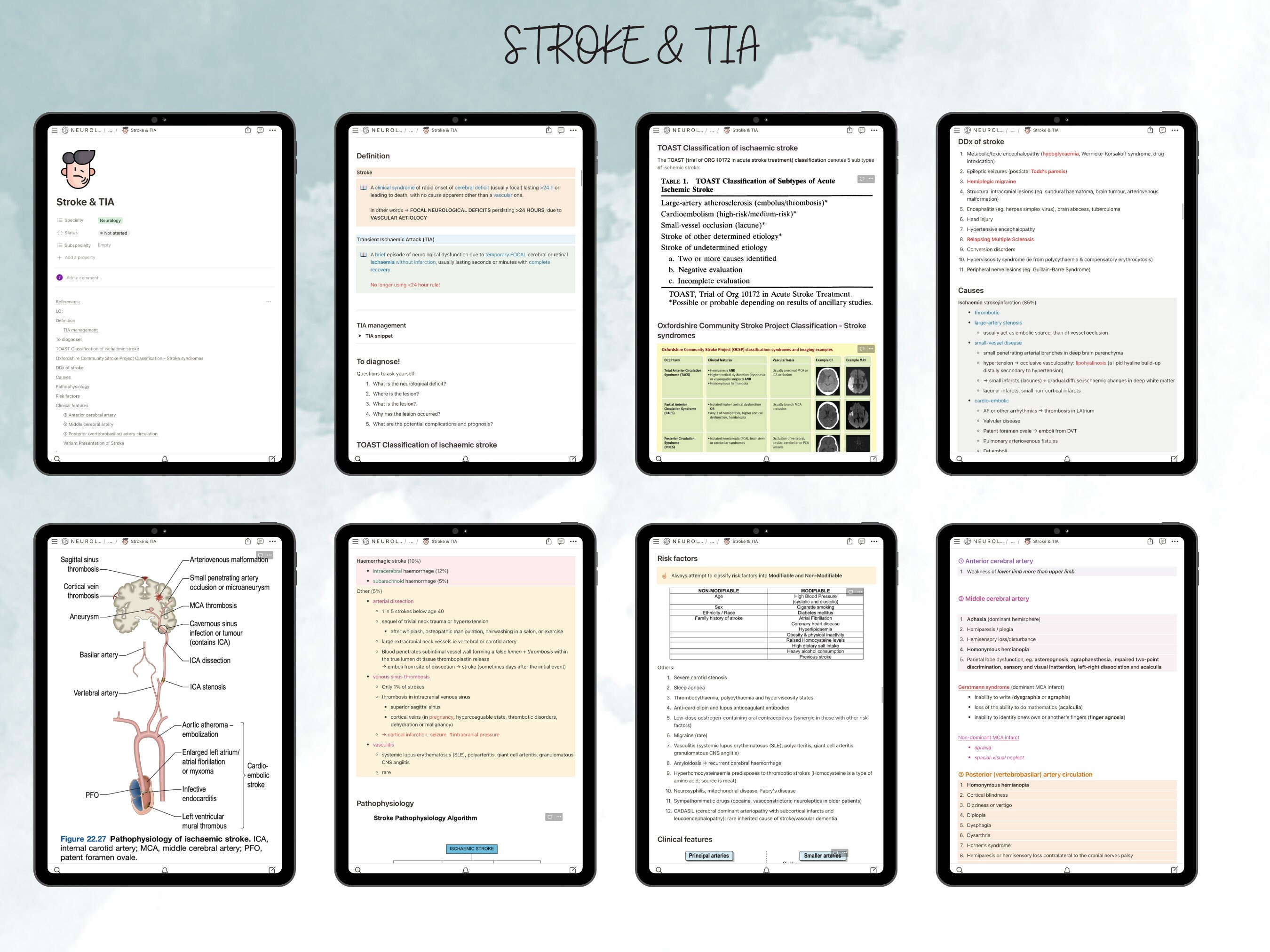 Notion Templates for Medical Students | Medical Notes | Digital Notes ...
