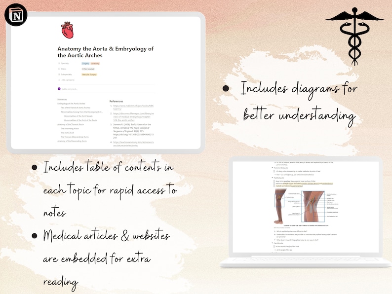 Vascular Surgery Notion Template: Medical Student Notes (digital ...