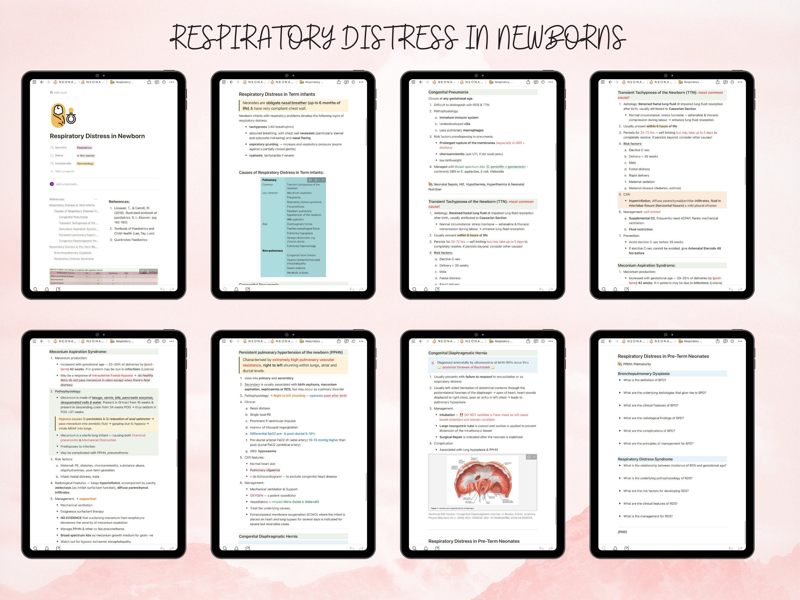 Notion Templates for Medical Students | Medical Notes | Digital Notes ...