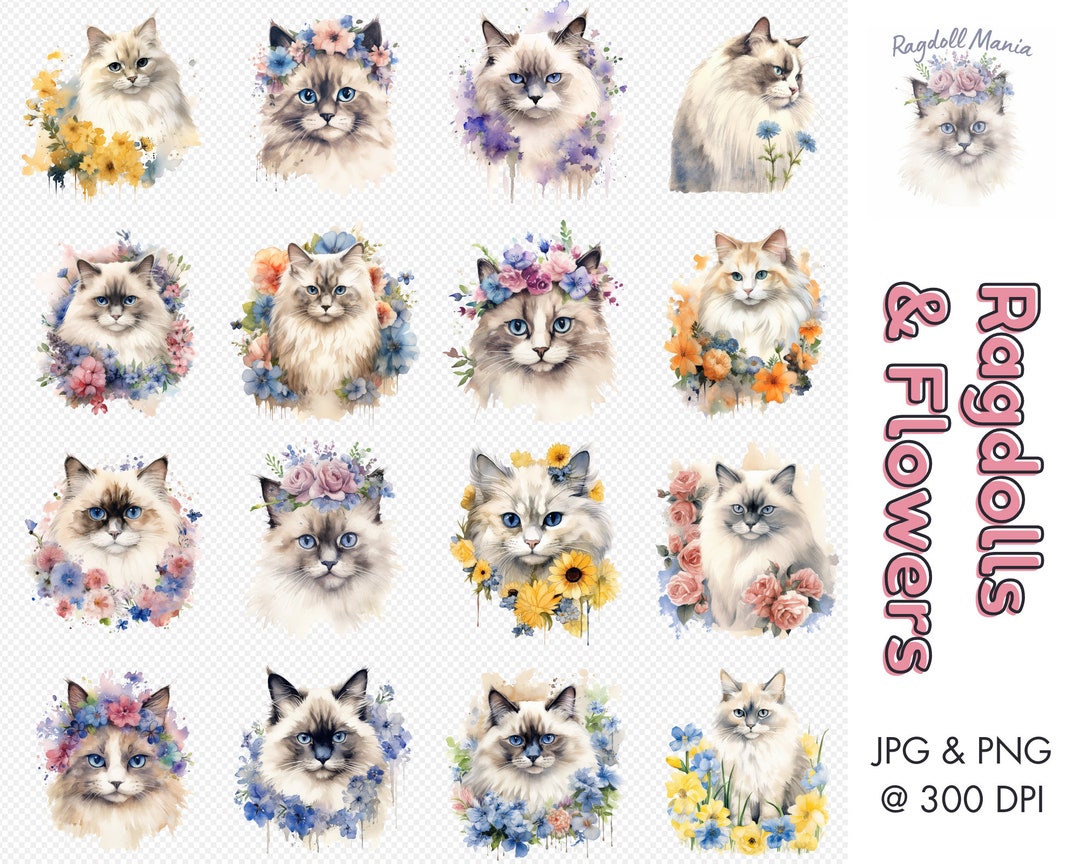 Ragdoll Cats & Flowers Watercolor PNG Clipart Bundle | Cat Lover ...