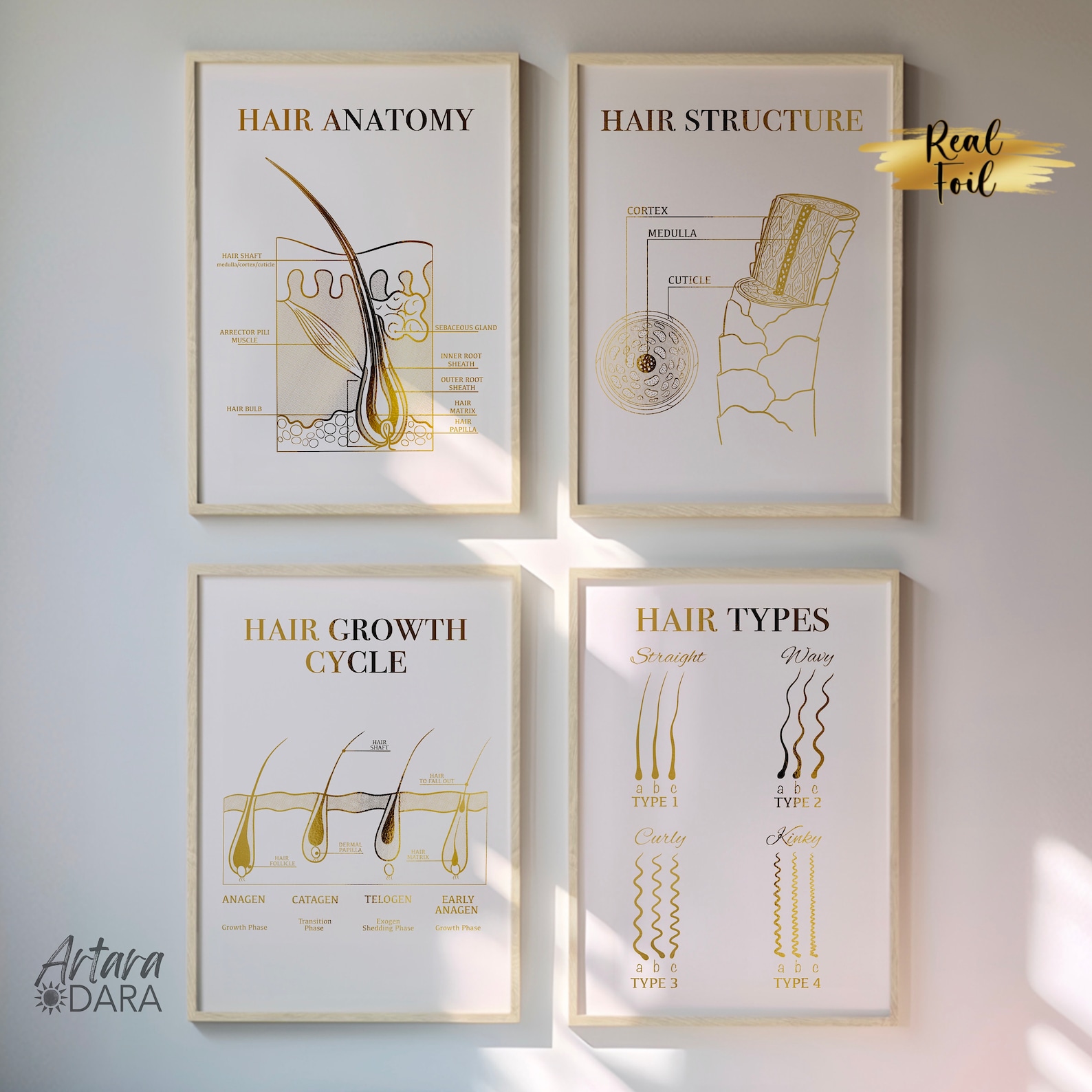 Hair Anatomy Poster, Real Foil Print, Hair Structure Art, Hair Types ...