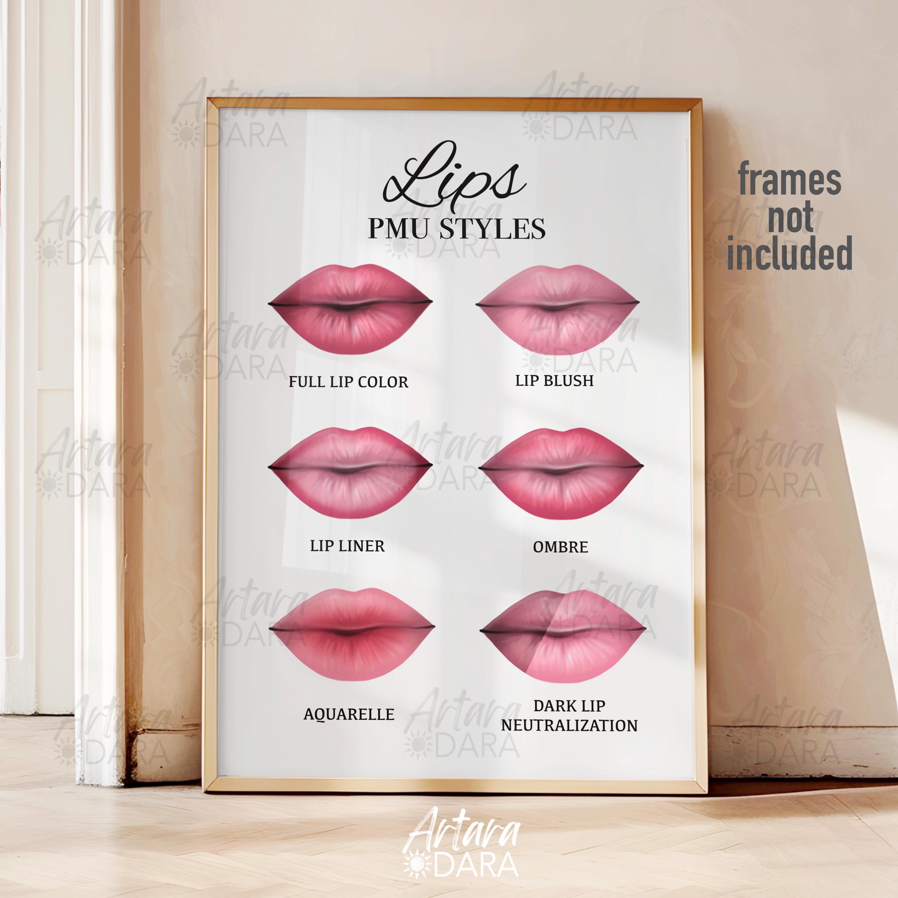 PMU Salon Decor, Permanent Makeup Poster, PMU Tech Print, Beauty Salon Decor, PMU Lips Styles ...