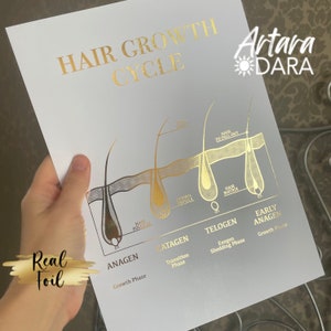 Foil Hair Anatomy Poster, Hair Salon Decor, Trichology Print - Etsy