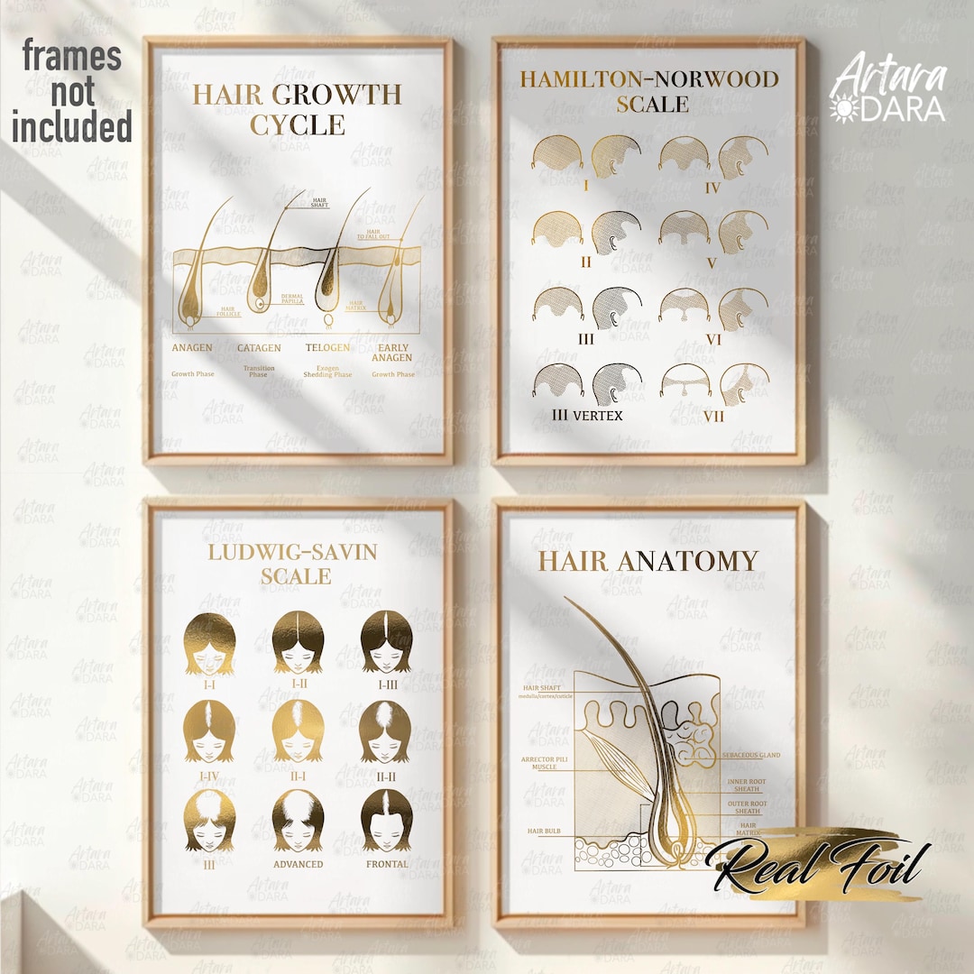 Hair Loss Scales, Real Foil Print, Hair Anatomy Art, Hair Growth Cycle ...