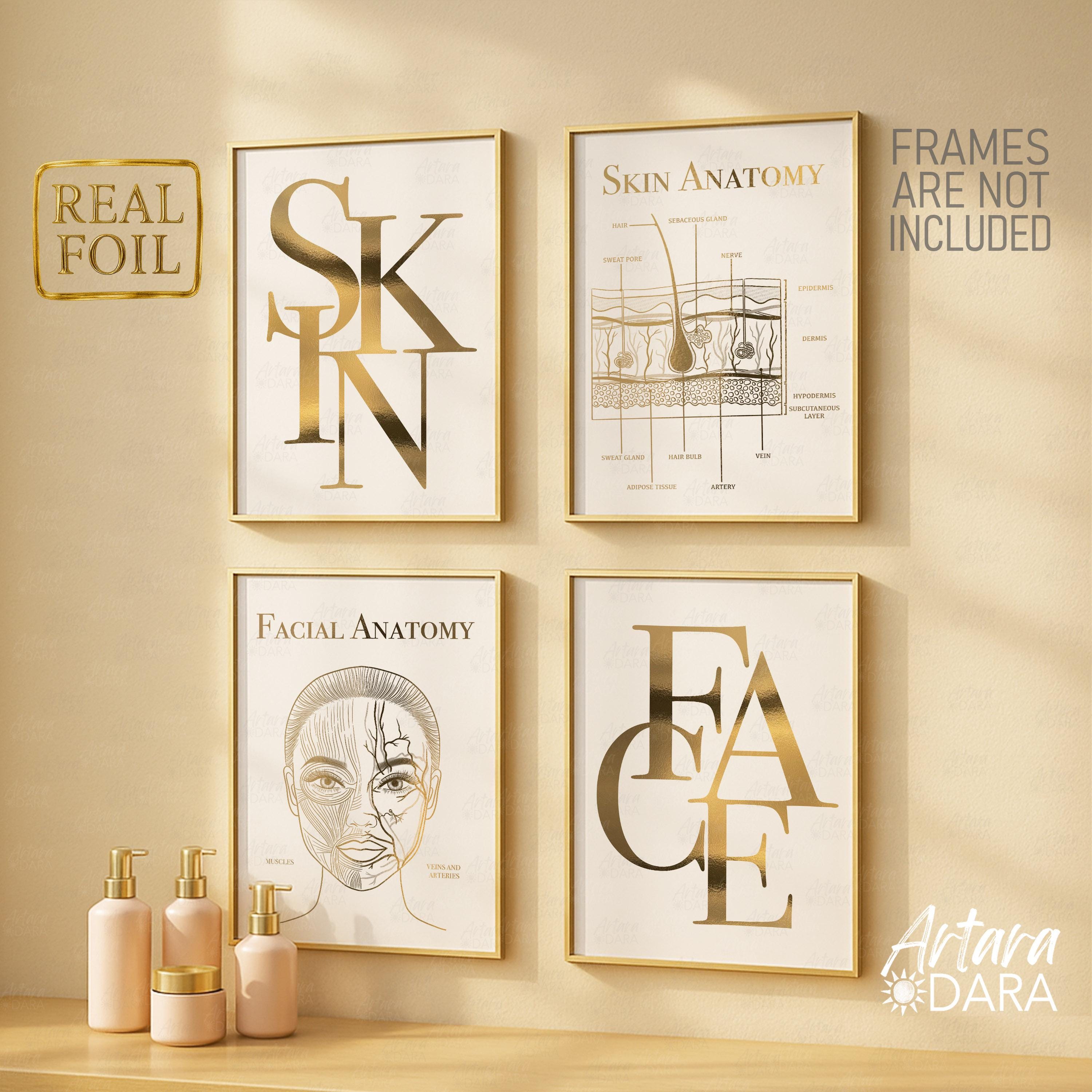 Foil Facial Anatomy Poster Set – Clinic & Spa Decor (unframed) - Etsy