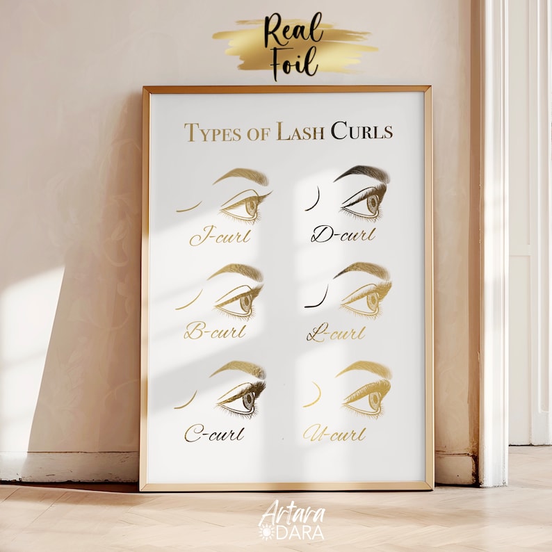 Brow Tech Poster, Lash Tech Poster, Real Foil Print, Brow Shapes Art ...