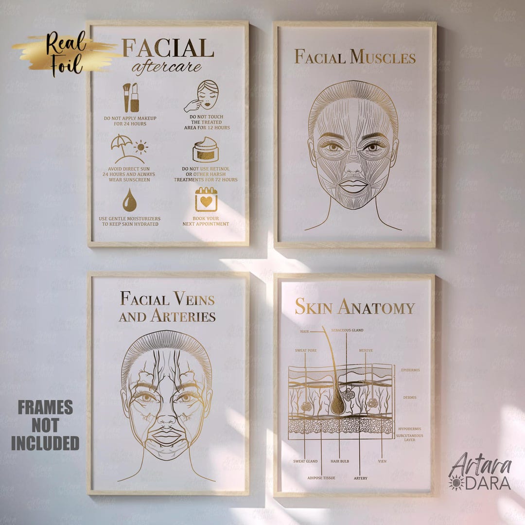 Facial Anatomy, Gold Foil Print, Skin Anatomy, Beauty Clinic Decor ...