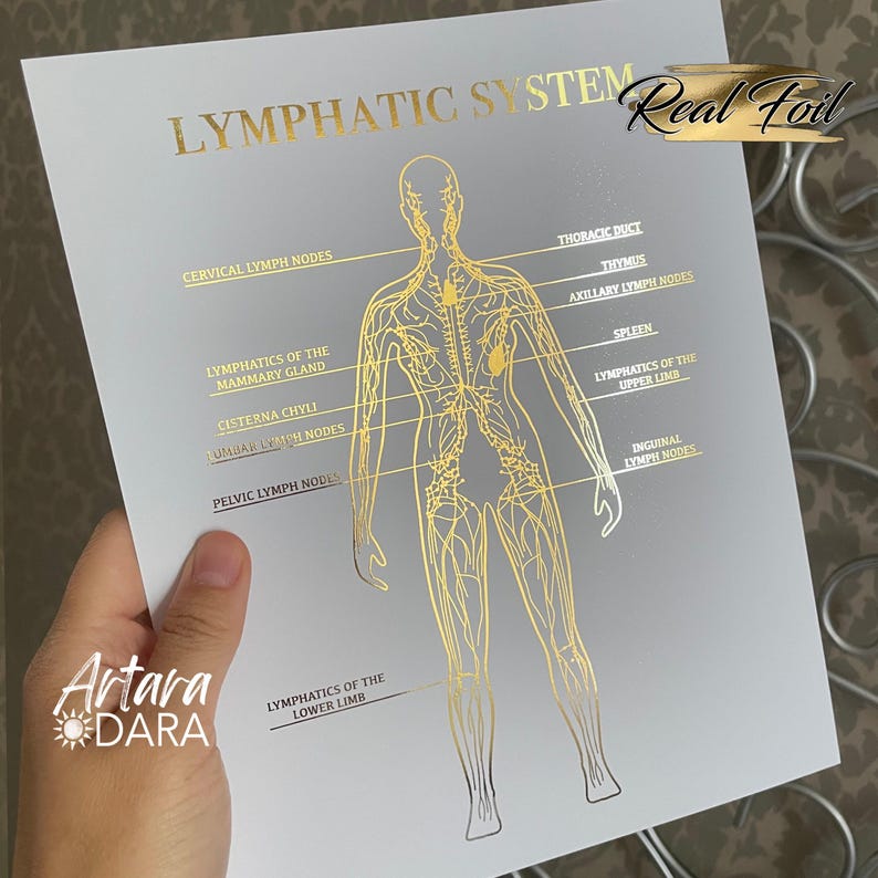 Gold Foil Lymphatic Drainage Poster Set of 3, MLD Spa Clinic Wall Art ...