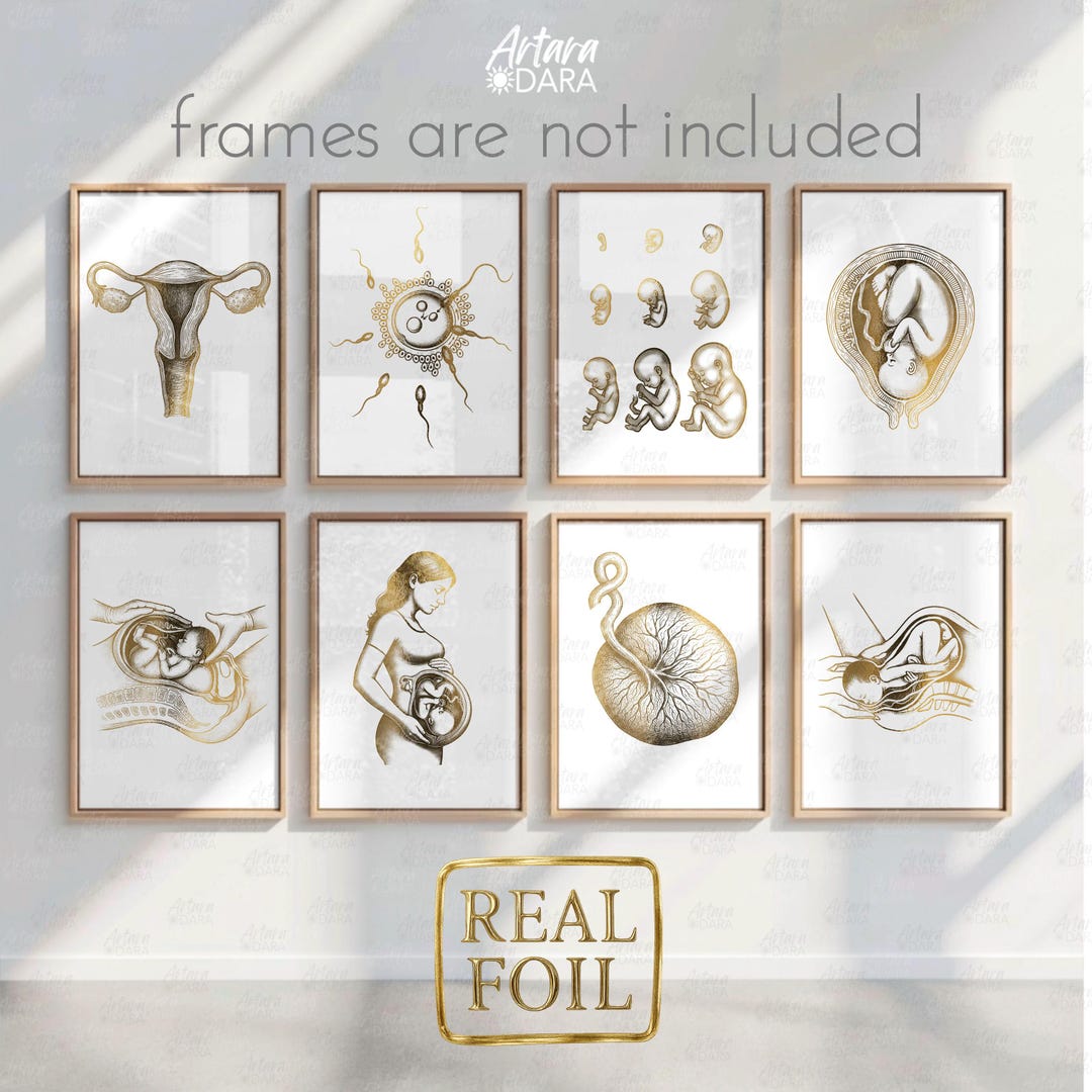 Gold Foil Pregnancy Anatomy Poster Set – Illustrated Gynecology Decor ...