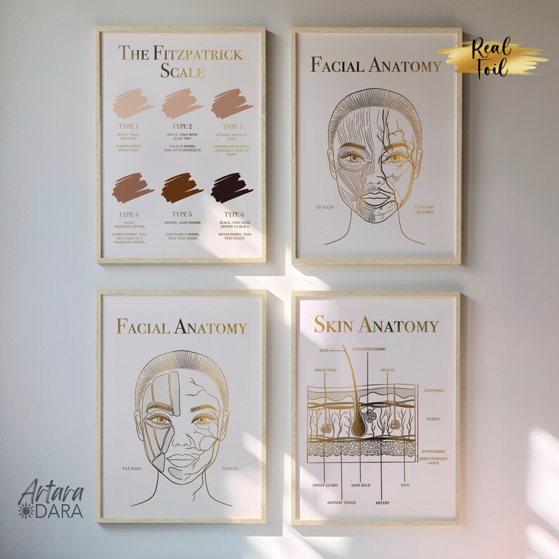 Face Anatomy Print, Real Foil Poster, Fitzpatrick Scale, Skin Anatomy ...
