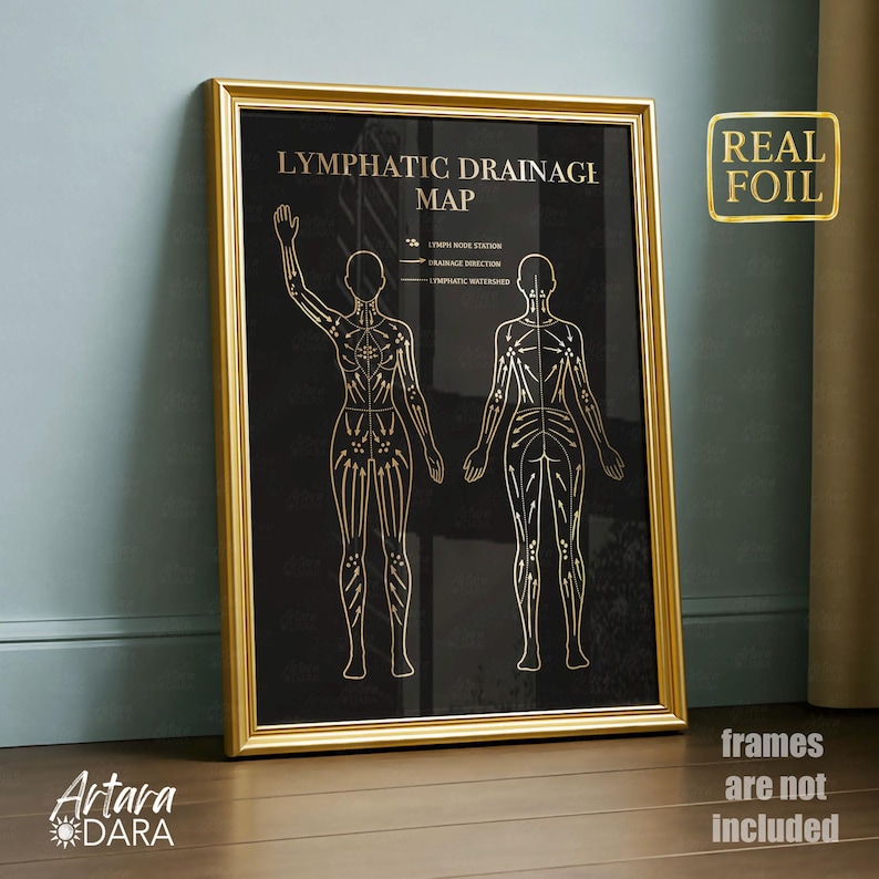 Gold Foil Lymphatic Drainage Poster Set of 3, MLD Spa Clinic Wall Art ...