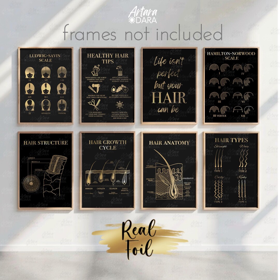 Black Gold Hair Poster Set of 8 – Foil Charts on Hair Structure, Growth ...