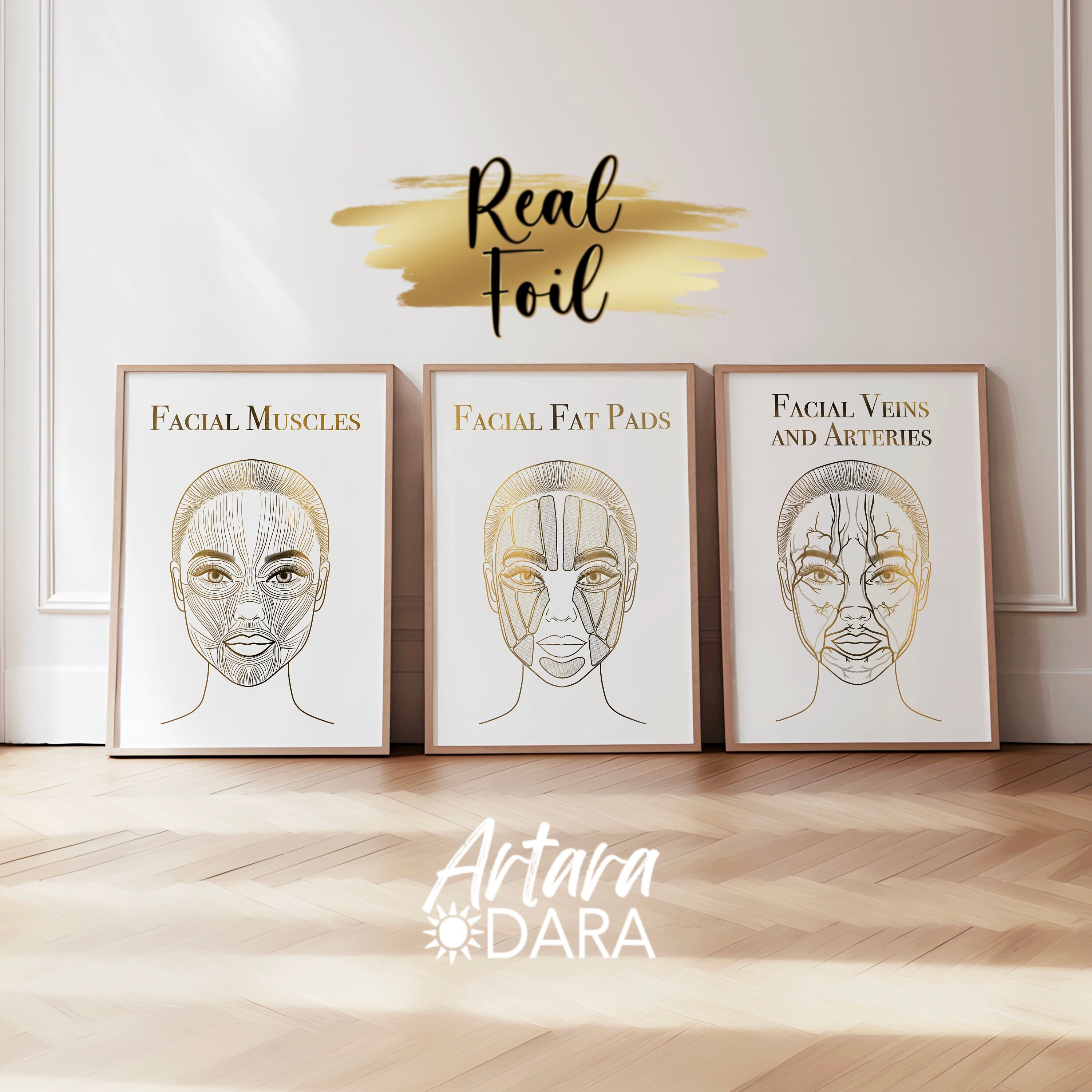 Face Anatomy Poster, Beauty Clinic Decor, Real Foil Print, Plastic ...