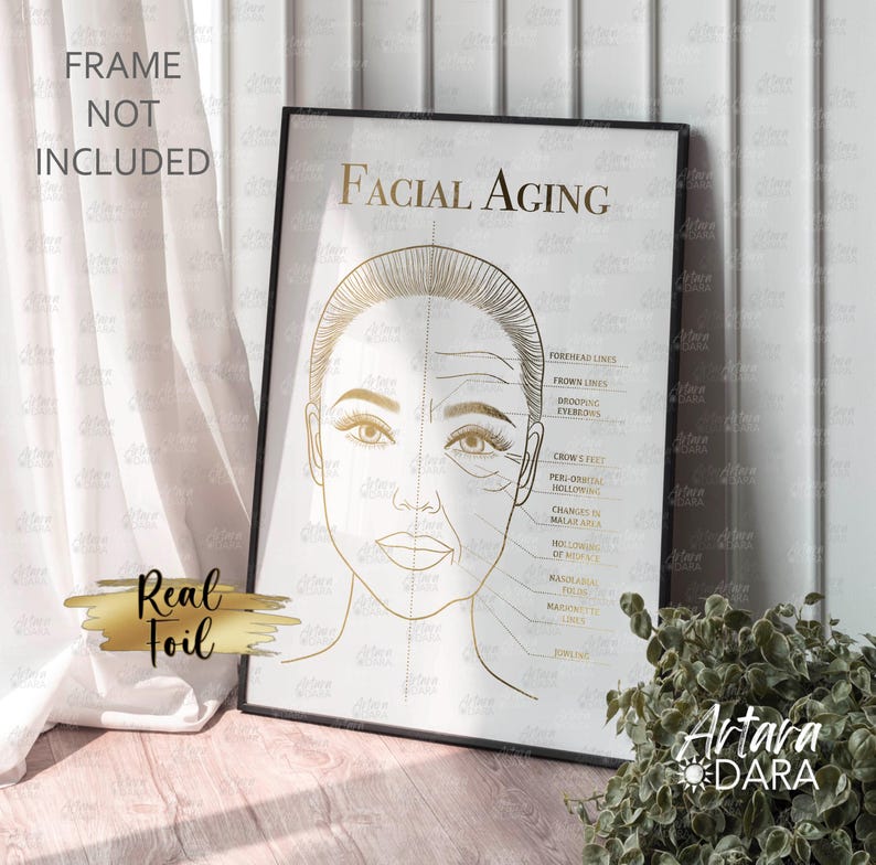 Facial Anatomy, Skin Anatomy, Real Foil Print, Beauty Salon Decor ...