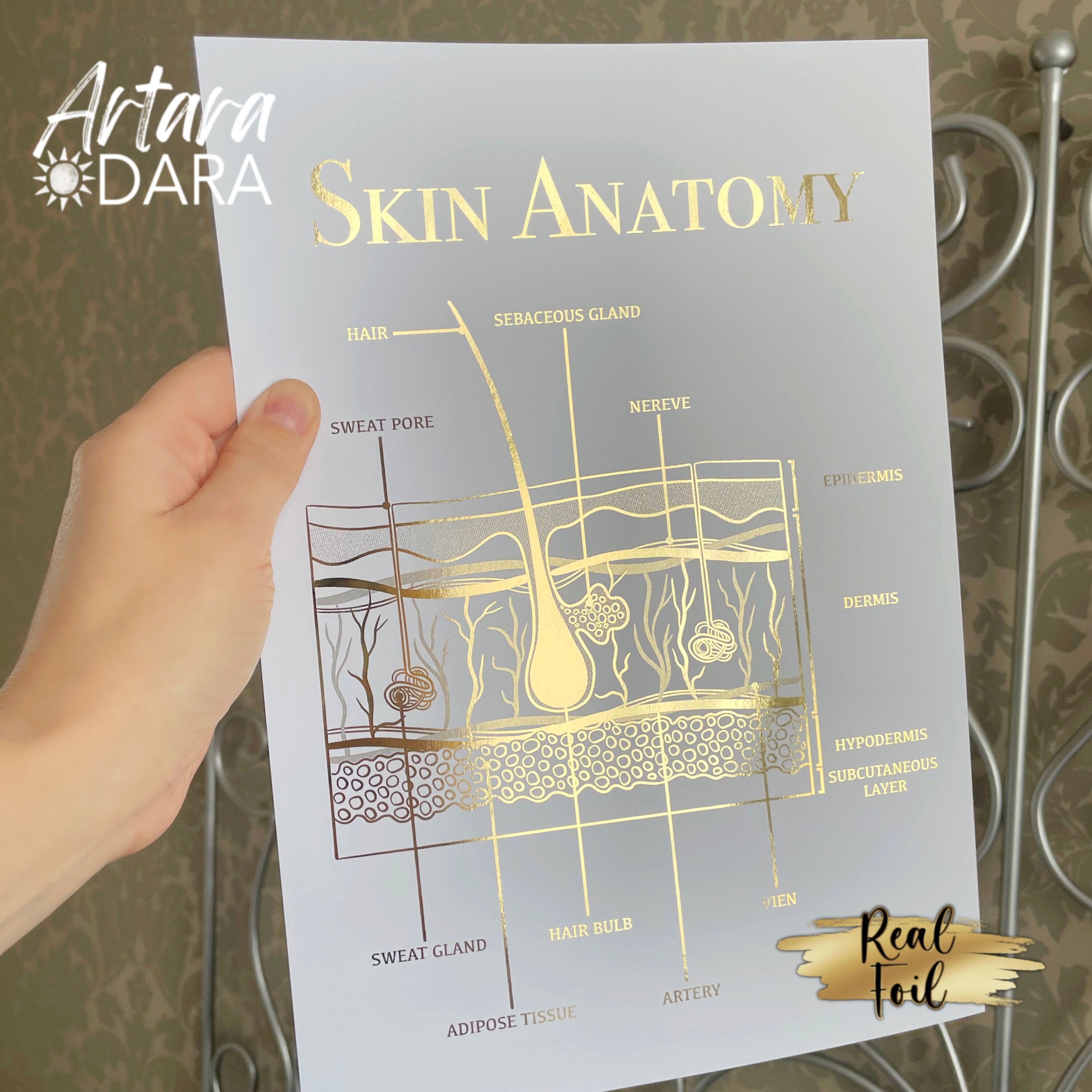 Facial Anatomy Posters, Real Foil Print, Beauty Clinic Decor ...