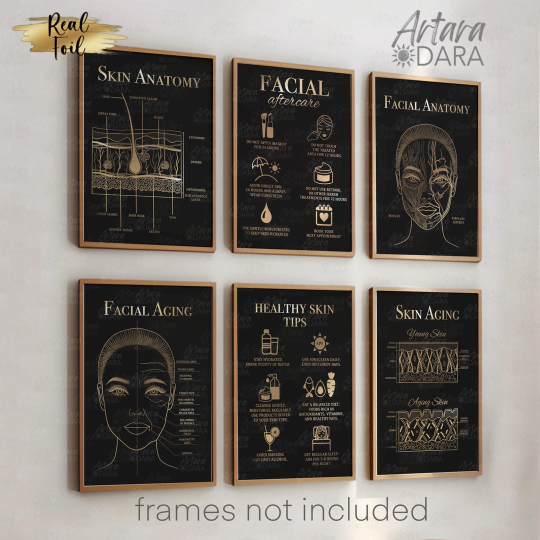 6 Facial Poster, Facial Anatomy, Real Foil Print, Skin Anatomy, Facial ...