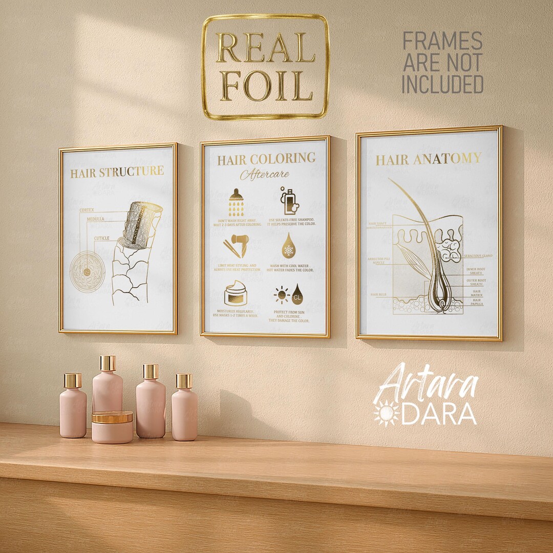 Hair Salon Decor, Hair Anatomy Art, Hair Coloring Aftercare, Hair ...