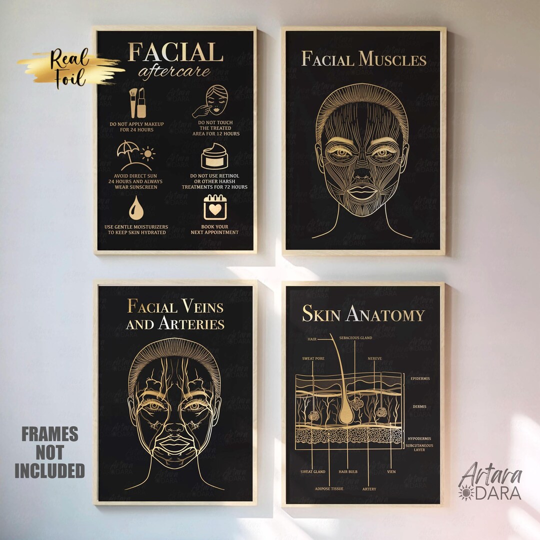 4 Facial Posters, Real Foil Print, Facial Aftercare Art, Skin Anatomy ...