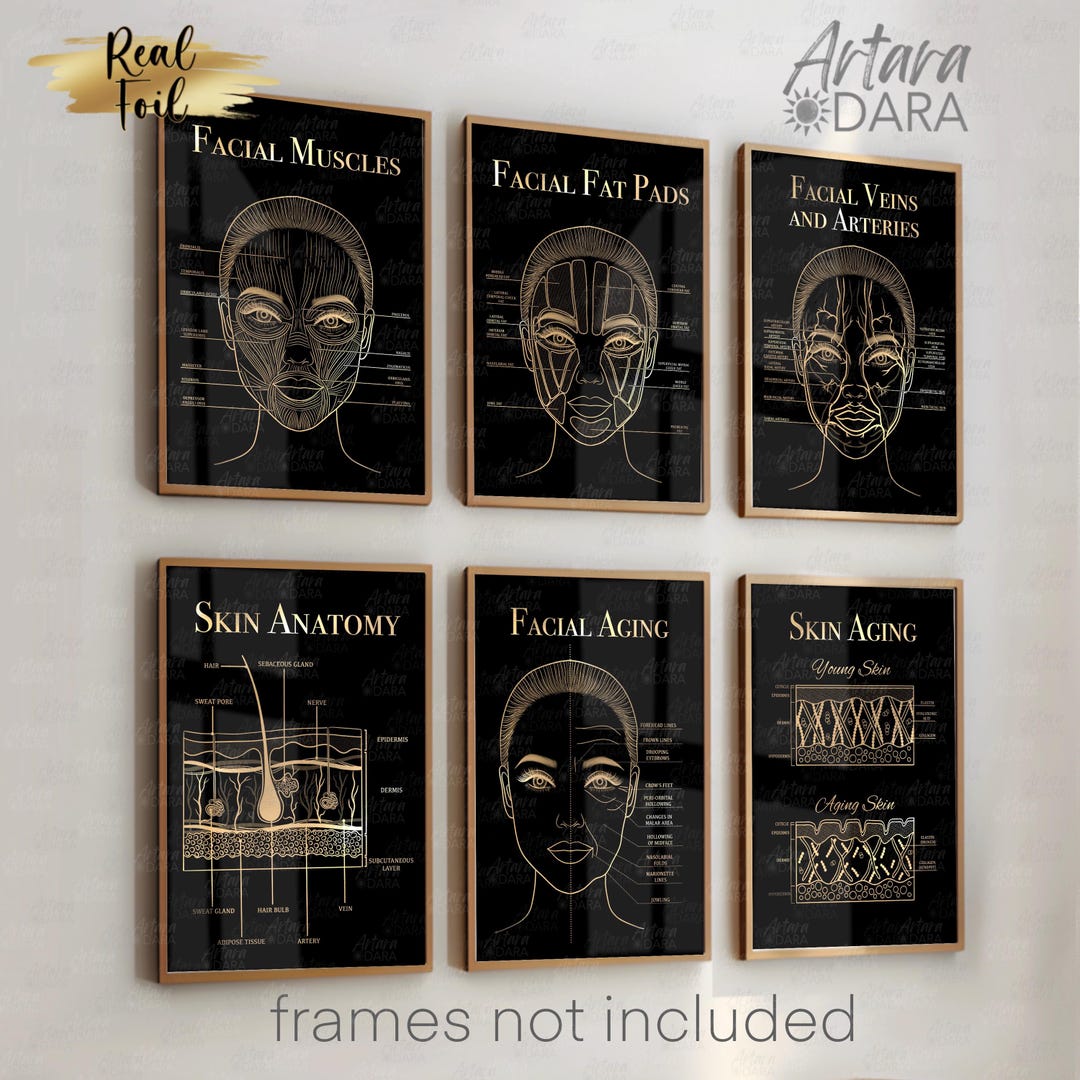 Beauty Clinic Decor, Facial Anatomy, Skin Anatomy, Real Foil Print ...