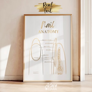 Nail Shapes Poster, Nail Aftercare Sign, Real Foil Print, Nail Anatomy ...