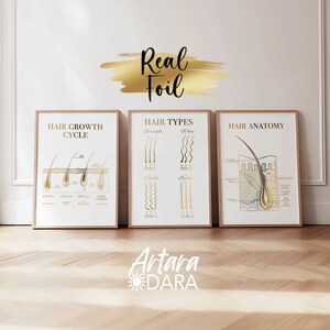 Hair Anatomy Poster, Dermatology Print, Gold Foil Print, Hair Growth ...