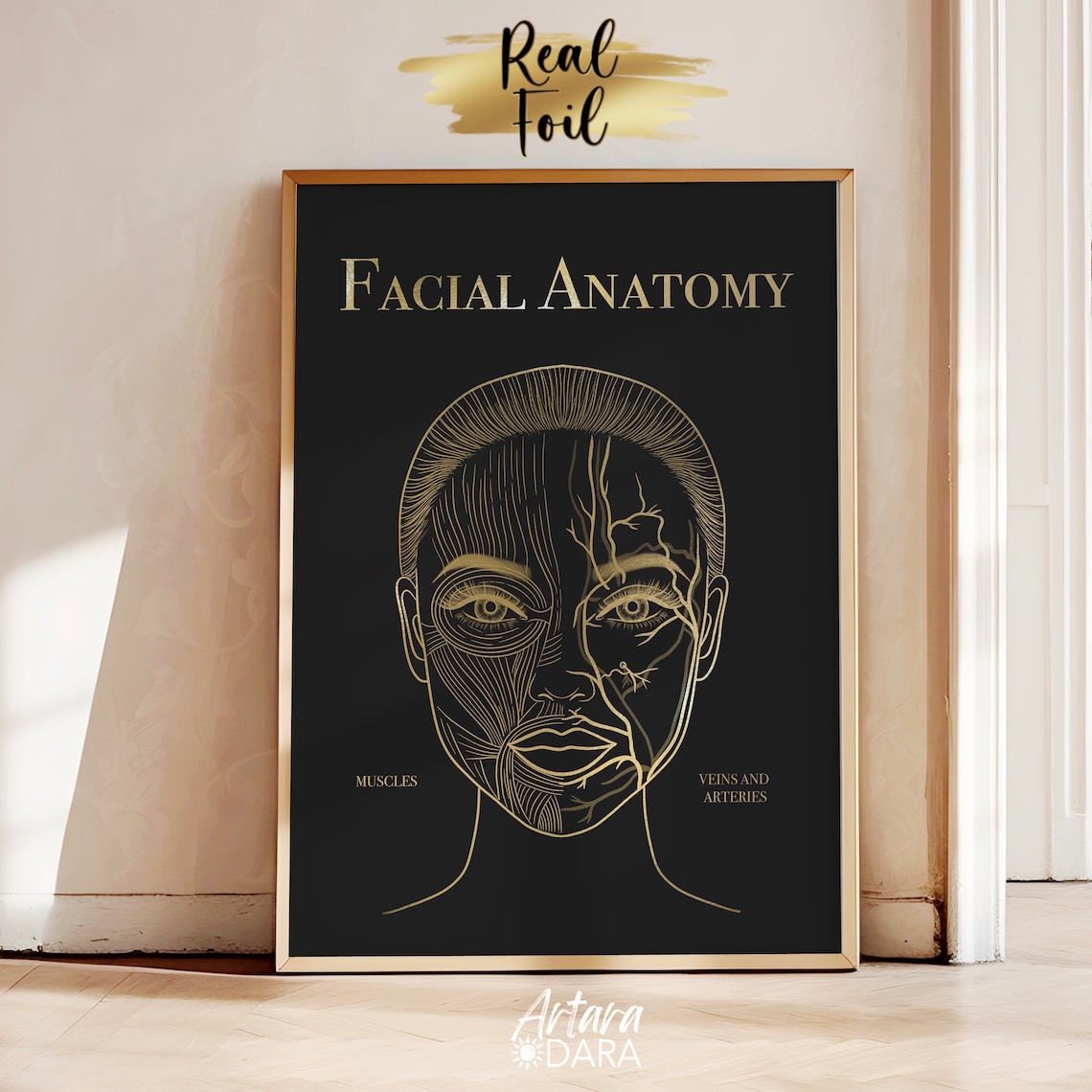 Facial Anatomy Print, Dermatology Poster, Real Foil Print, Skin Anatomy ...