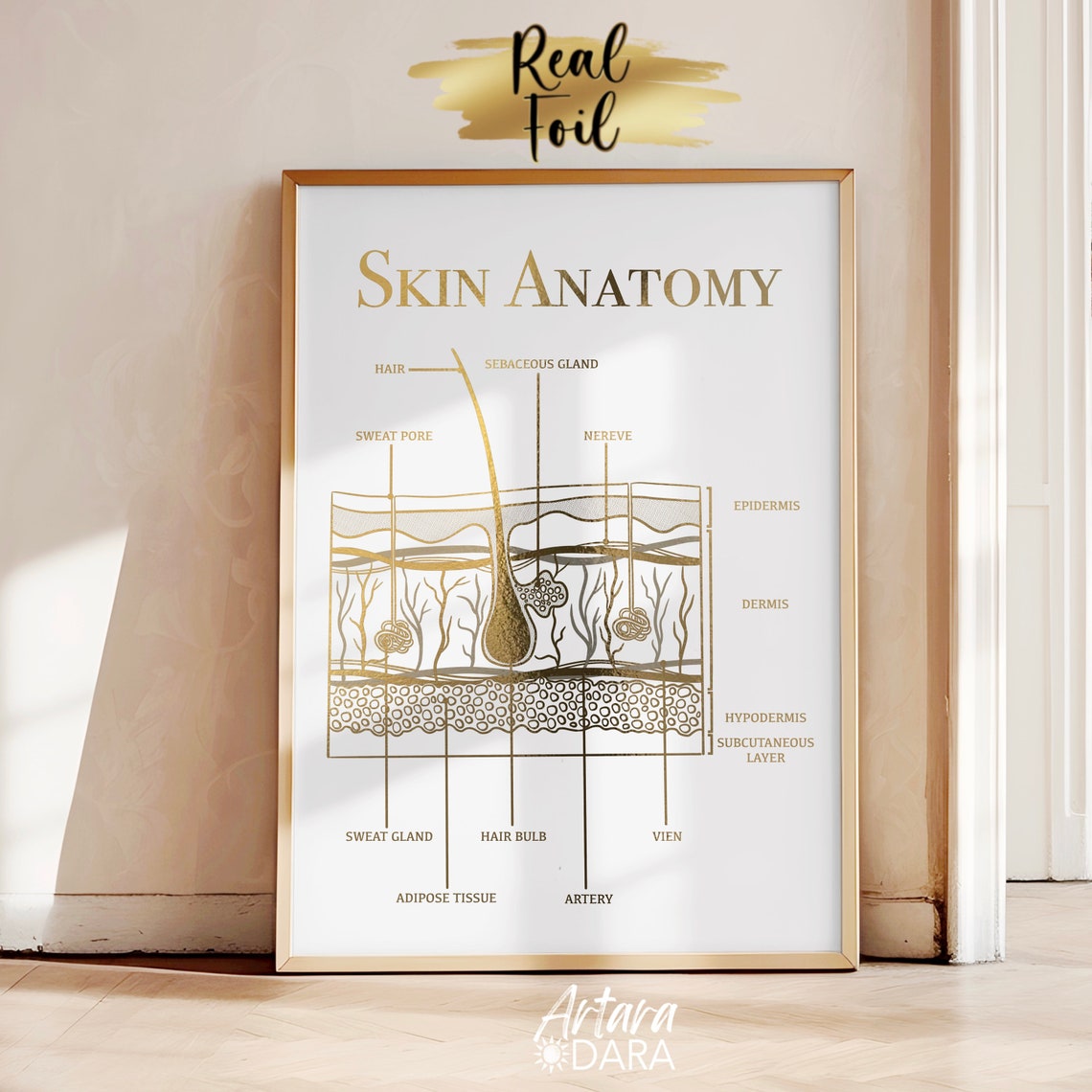 Facial Anatomy Print, Dermatology Poster, Real Foil Print, Skin Anatomy ...