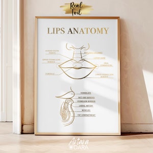 Lip Filler Print, Real Foil Print, Lips Anatomy Poster, Beauty Salon ...