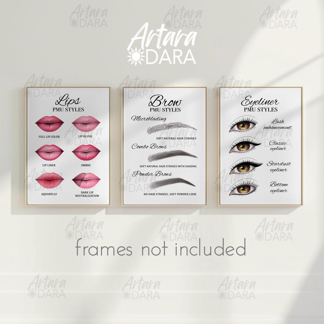 PMU Salon Decor, Permanent Makeup Poster, PMU Tech Print, Beauty Salon Decor, PMU Lips Styles ...