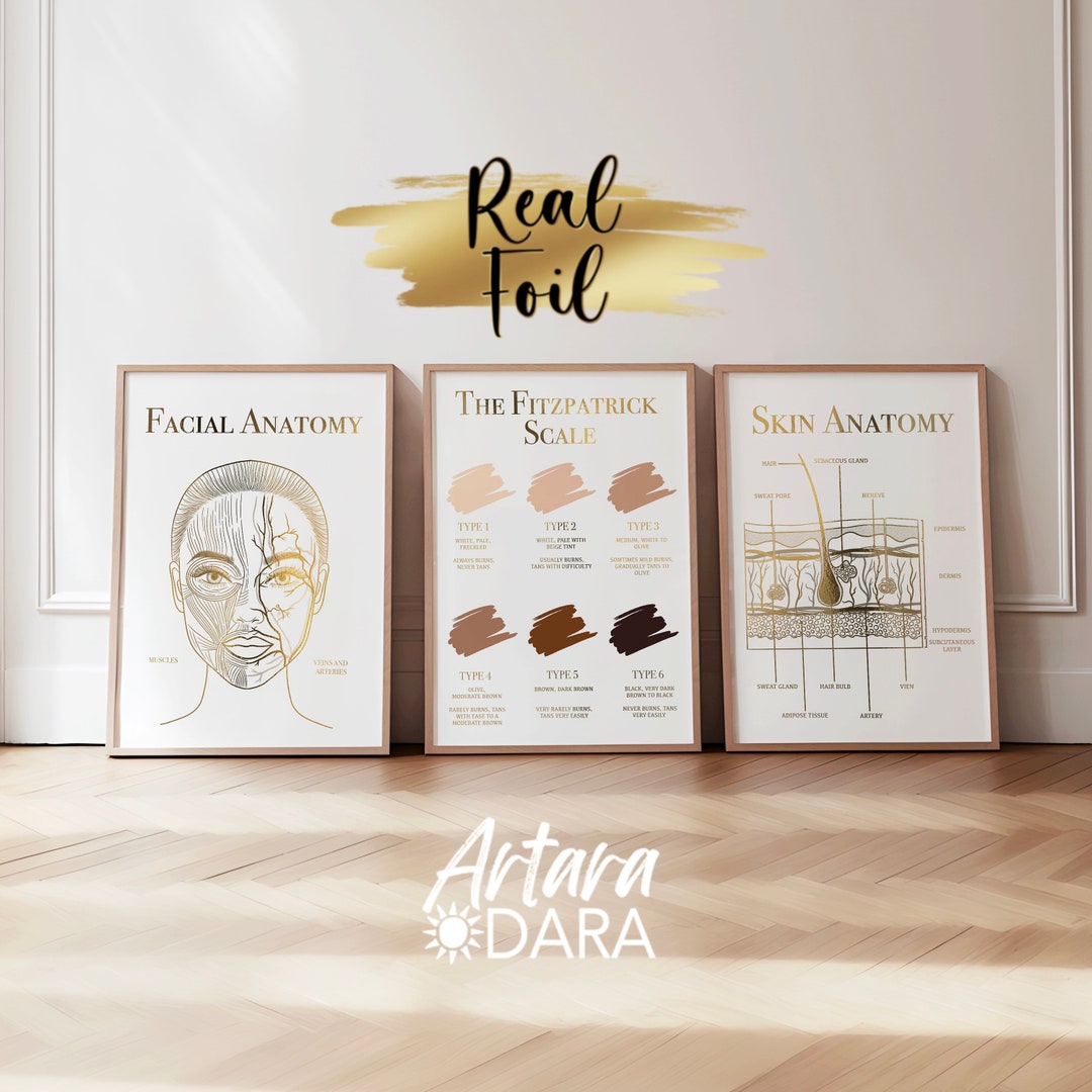 Facial Anatomy Posters, Real Foil Print, Beauty Clinic Decor ...