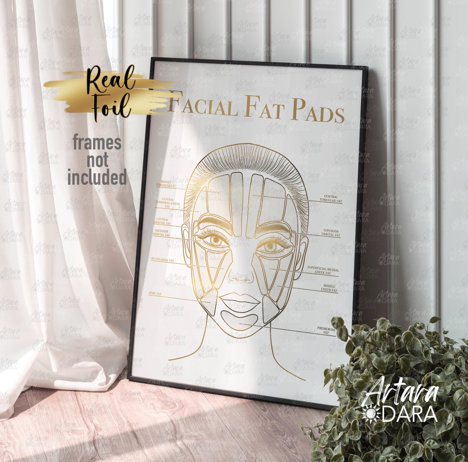 Gold Foil Botox & Facial Anatomy Posters: Beauty Clinic Decor (no ...
