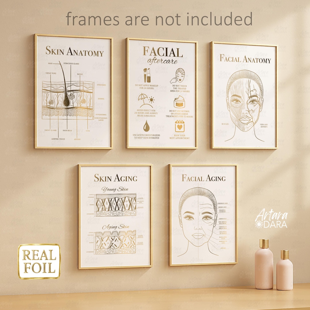 Skin Anatomy Poster Set of 5, Face Aging, Facial Aftercare, Beauty ...