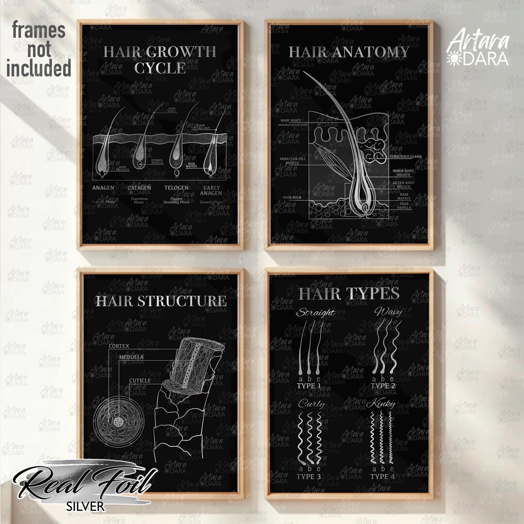 Hair Anatomy Poster, Silver Foil Print, Hair Salon Decor, Hair Growth ...