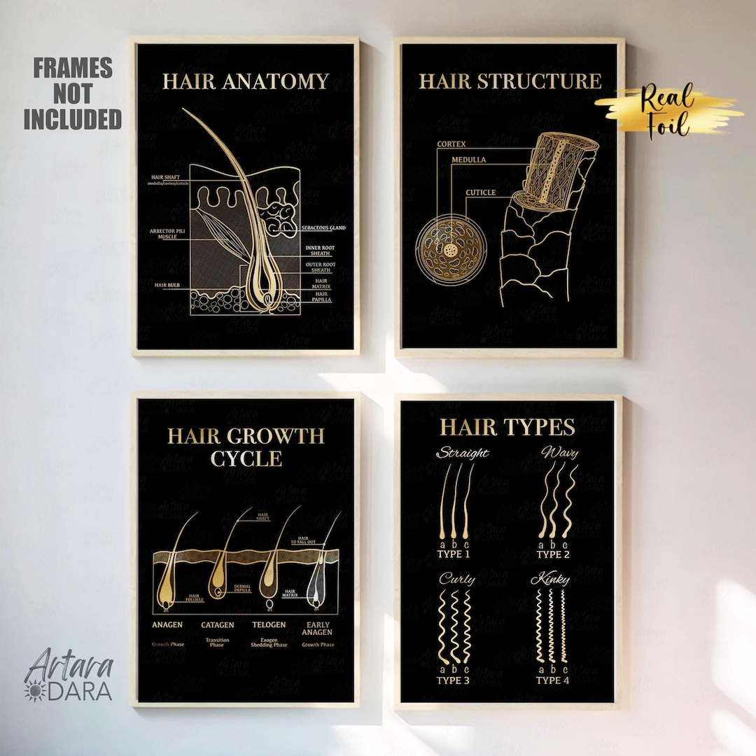 Dermatology Art, Hair Anatomy, Real Foil Print, Hair Structure, Hair ...