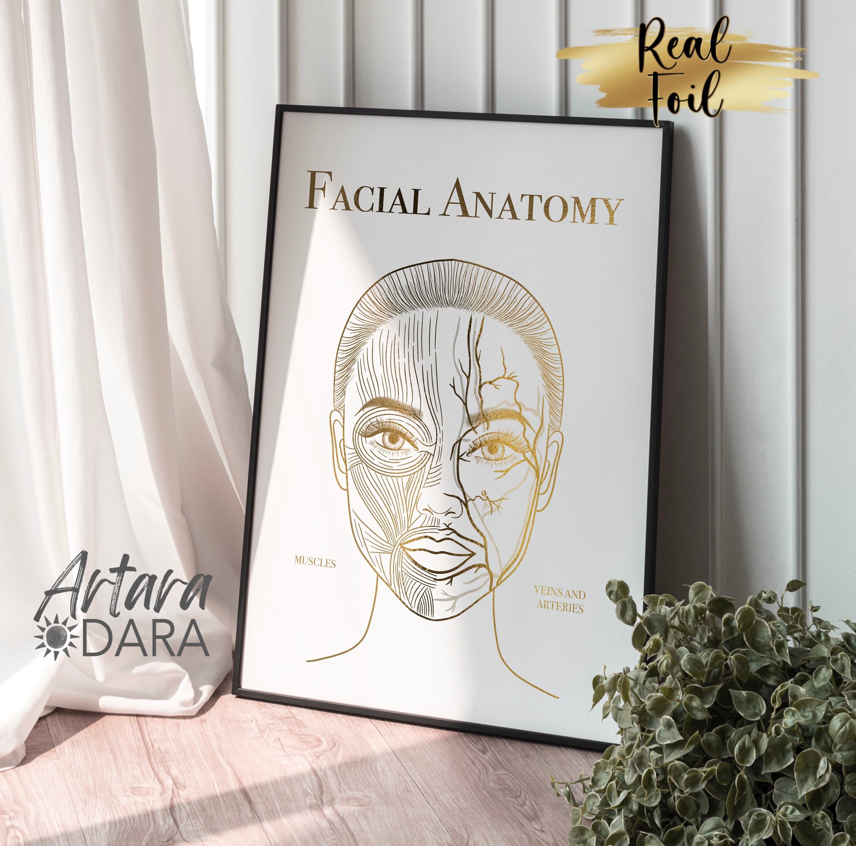Face Anatomy Art, Real Foil Print, Beautician Gift, Facial Muscles Art ...