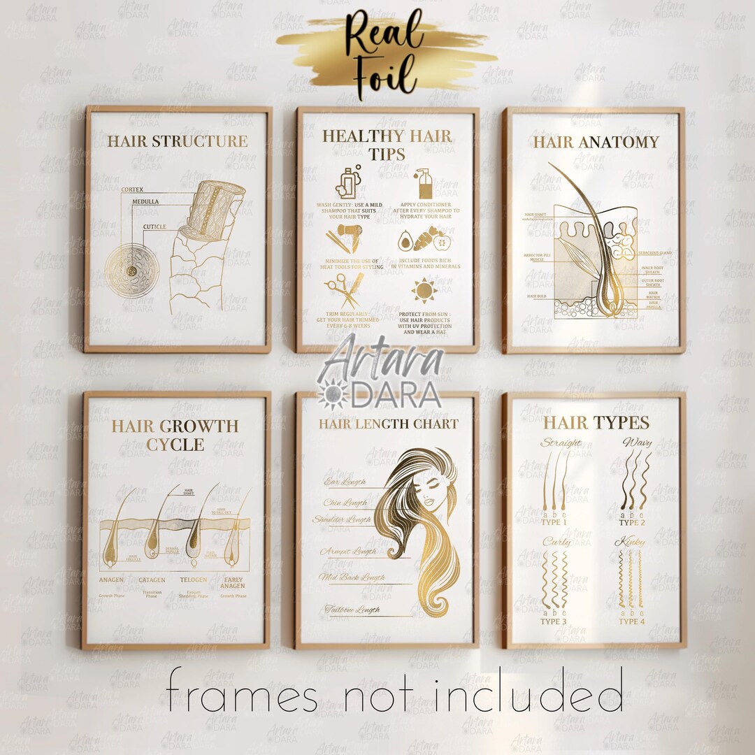 Gold Foil Hair Salon Poster Set, Hairdresser Decor, Hair Anatomy Art - Etsy