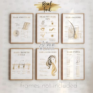 Gold Foil Hair Salon Poster Set, Hairdresser Decor, Hair Anatomy Art - Etsy
