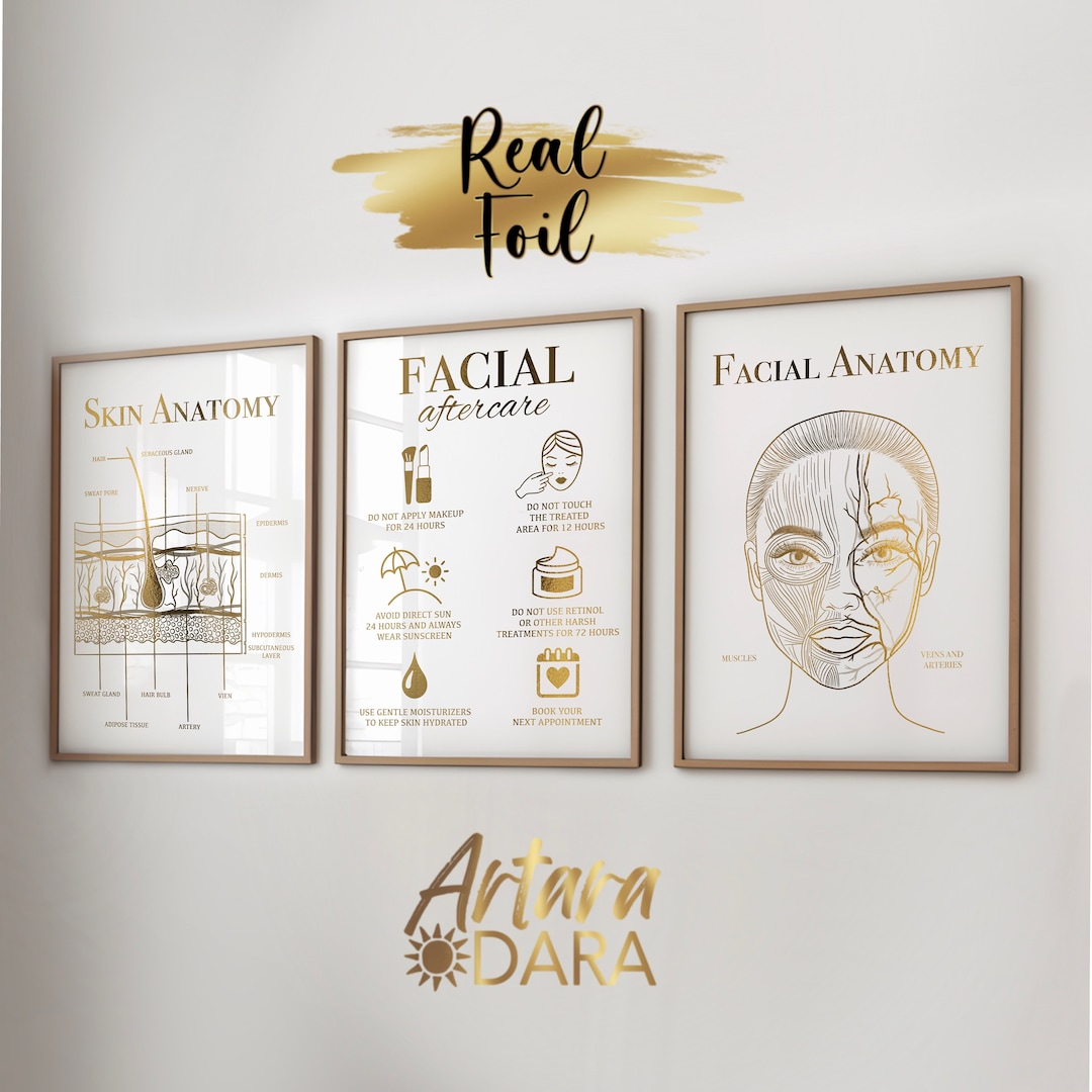 Facial Aftercare Art, Real Foil Print, Beauty Salon Decor, Skin Anatomy ...