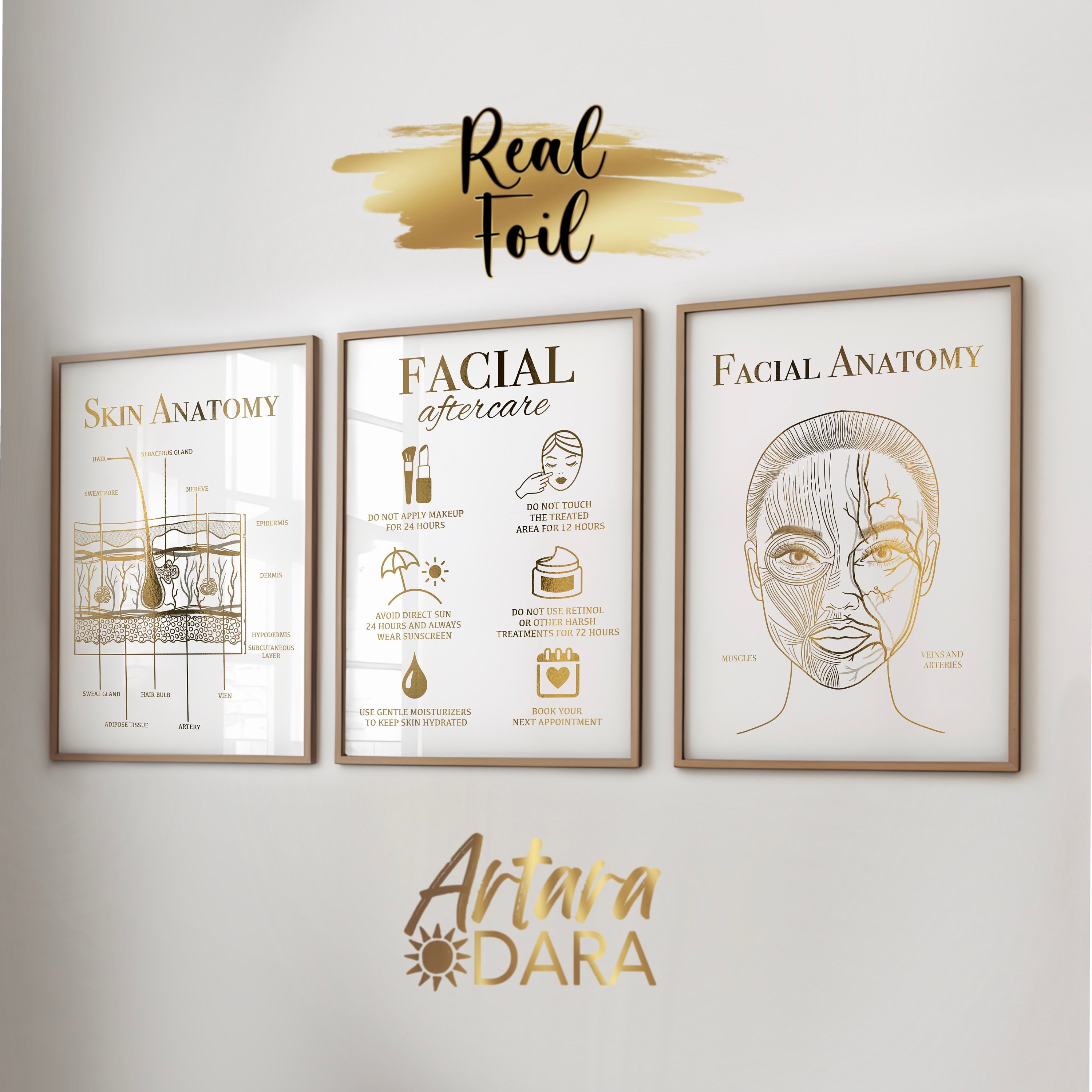 Facial Aftercare Art, Real Foil Print, Beauty Salon Decor, Skin Anatomy ...