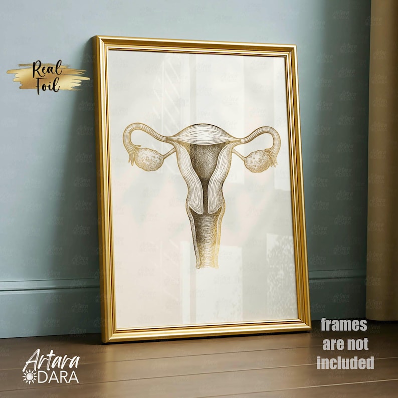 Pósteres de ginecología con lámina dorada: Anatomía femenina y embarazo ...