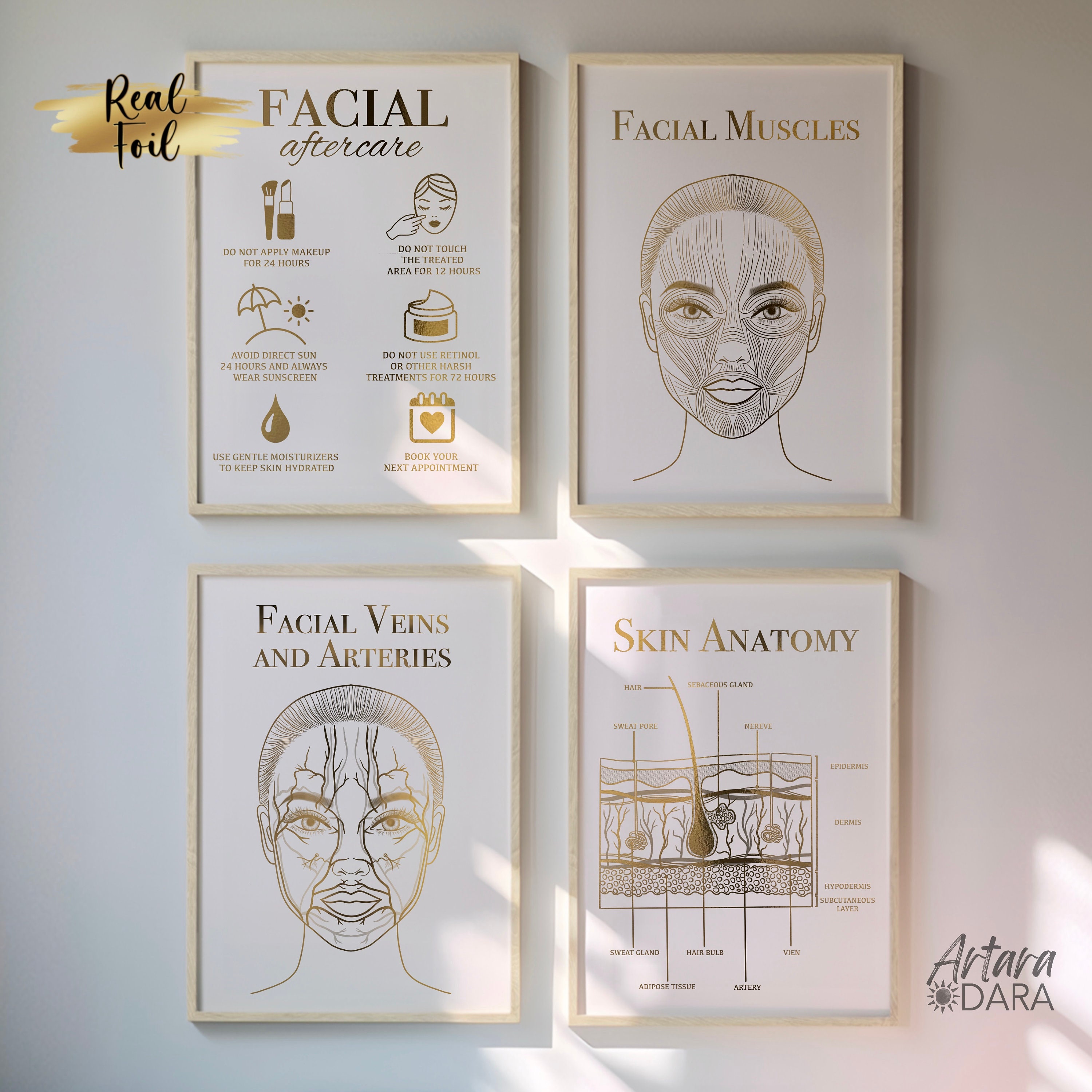Facial Anatomy, Gold Foil Print, Skin Anatomy, Beauty Clinic Decor ...