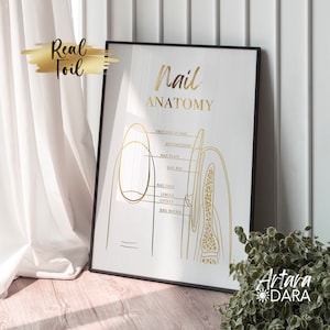 Nail Structure Art, Nail Anatomy Poster, Real Foil Print, Nails Salon ...
