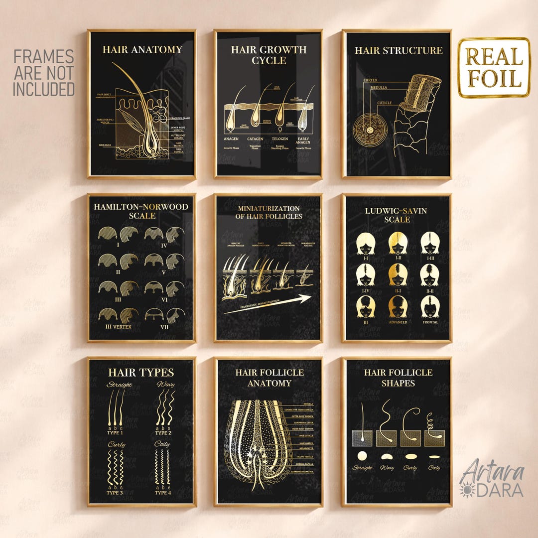 Hair Anatomy Set of 9, Trichology Charts , Gold Foil Posters (unframed ...