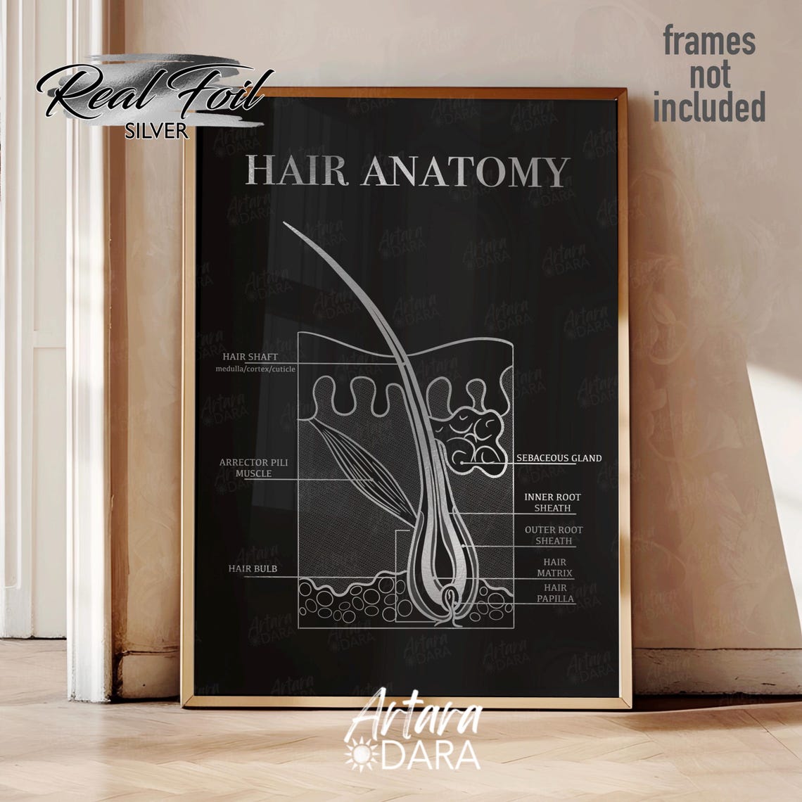 Hair Anatomy Poster, Silver Foil Print, Hair Salon Decor, Hair Growth ...
