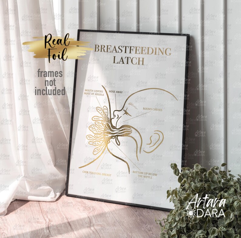 Gold Foil Breastfeeding Poster Set – Lactation, Anatomy, Nursing Art ...