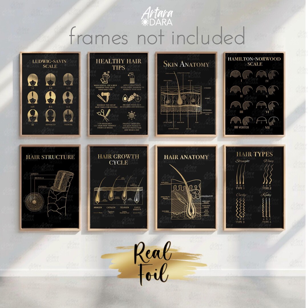 Gold Foil Hair Anatomy Poster Set of 8 – Trichology Wall Art, Hair ...