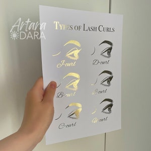 Brow Tech Poster, Lash Tech Poster, Real Foil Print, Brow Shapes Art ...