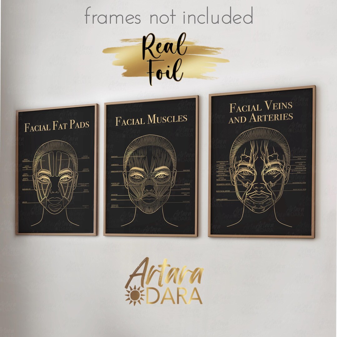 Facial Anatomy, Beauty Clinic Decor, Real Foil Print, Beauty Salon ...